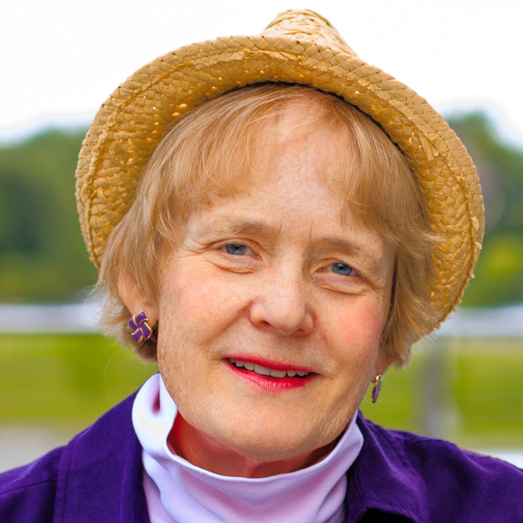 Meet Author Phyllis Wheeler